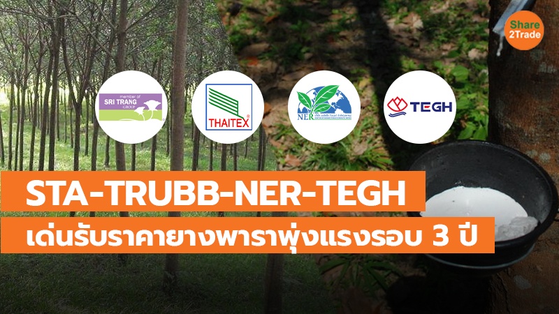 STA-TRUBB-NER-TEGH เด่นรับราคายางพาราพุ่งแรงรอบ 3 ปี | Share2Trade